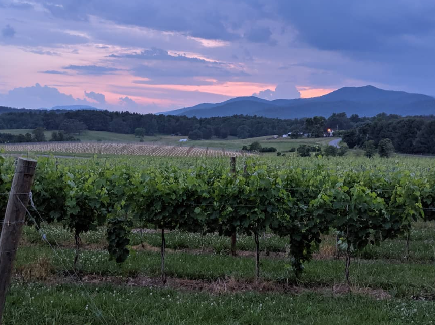 Local Vine | 106.1 The Corner