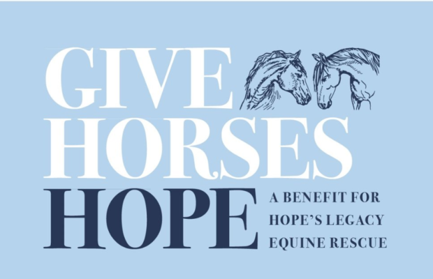 Give Horses Hope: A Benefit for Hope’s Legacy Equine Rescue | 106.1 The ...
